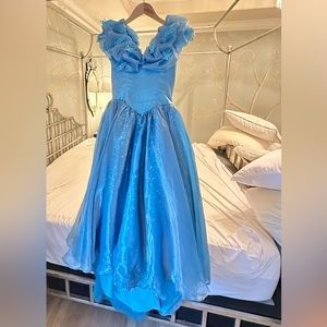Costumes | Custom Cinderella Gown Costume With 3d Butterfly Details On ...